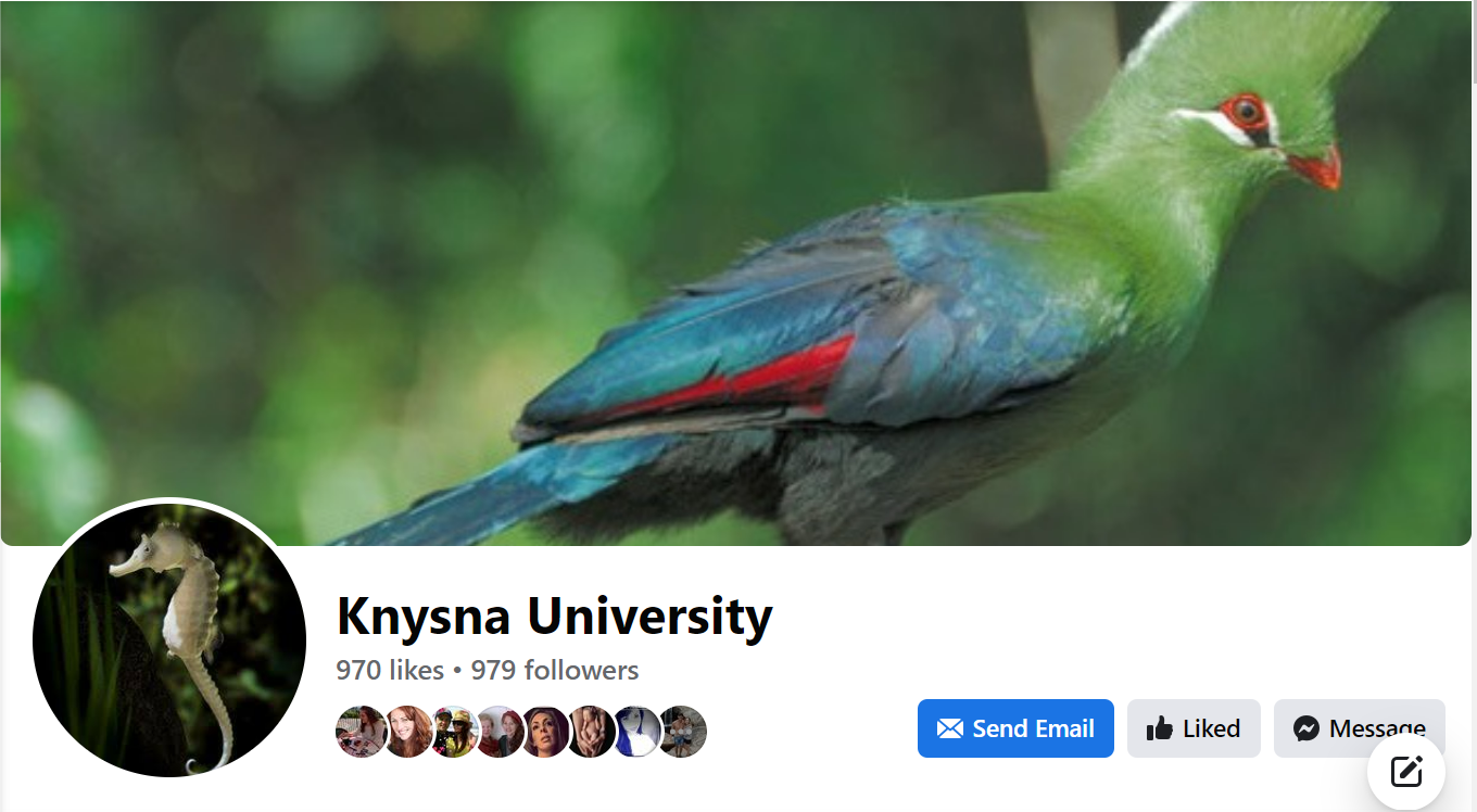 Knysna University